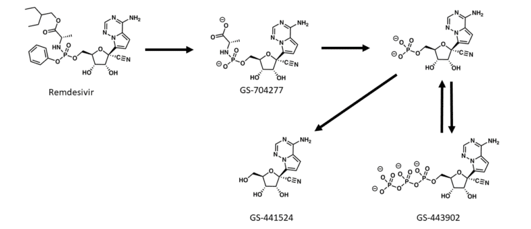 Antiviral Analysis: Remdesivir and its Metabolites