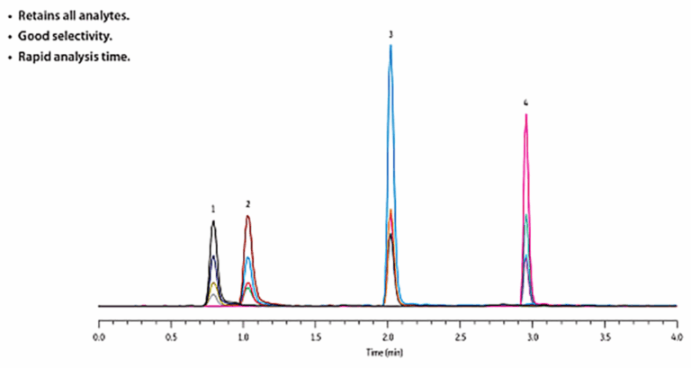 Antiviral Analysis: Remdesivir and its Metabolites