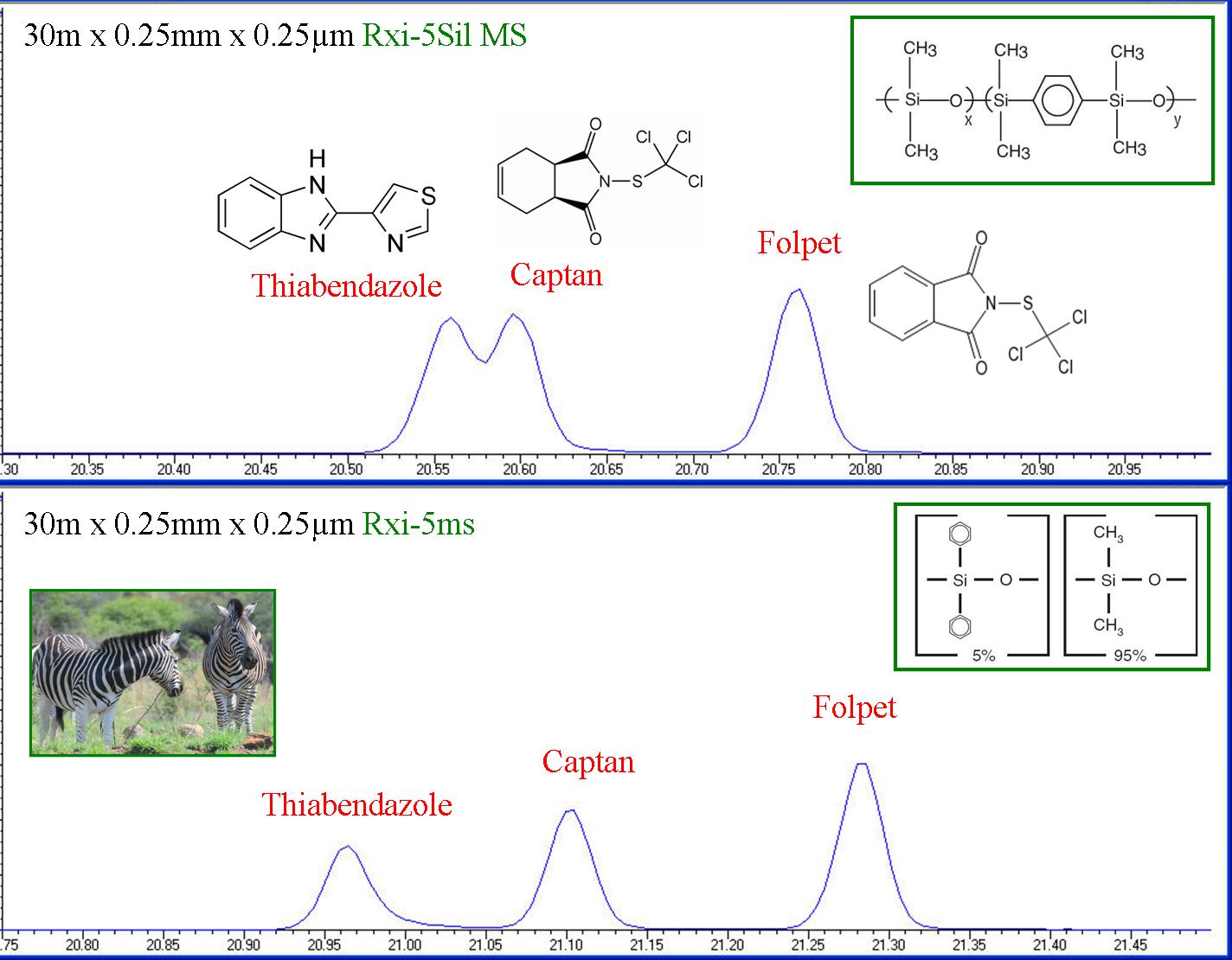 Selectivity differences in arylene GC phases...pesticides and zebras.